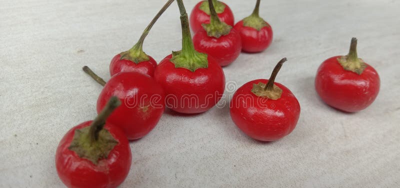 Round Red Chili Peppers on a Ceramic Background Stock Image - Image of ...