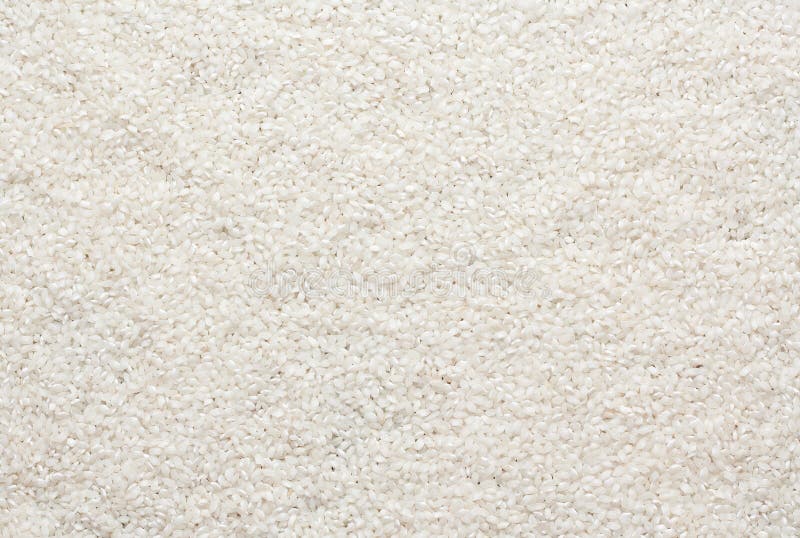 Round Rice stock photo. Image of grain, chinese, white - 16280862