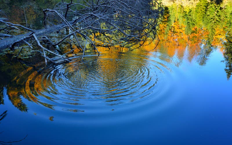 279 Lake Pebble Ripples Stock Photos - Free & Royalty-Free Stock Photos ...