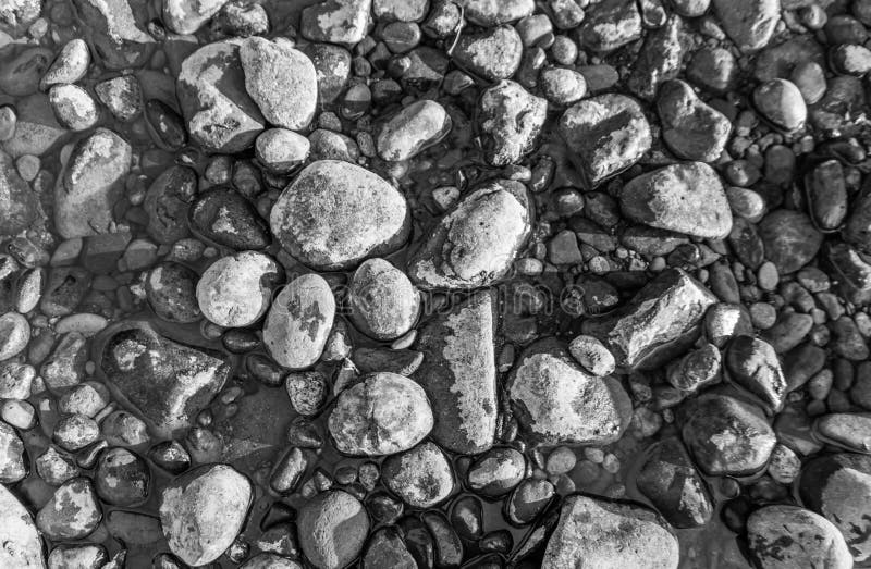 Round River Rocks Background 4 Stock Image - Image of nature, close ...