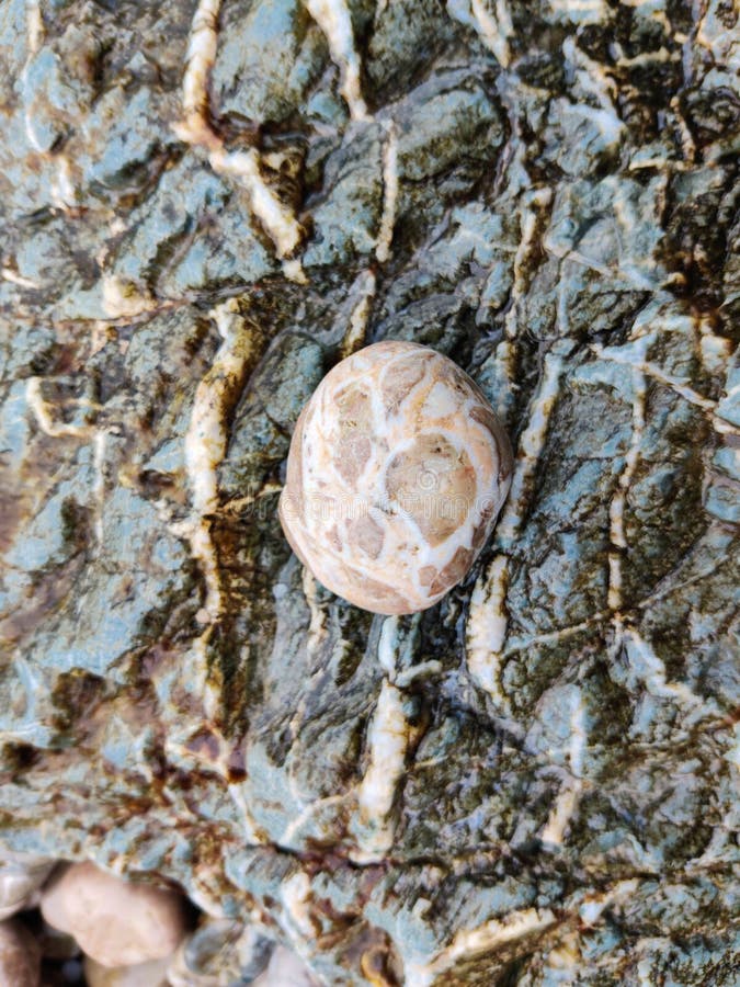 Round Rock on Scale in Taormina Beach. Stock Image - Image of rock ...