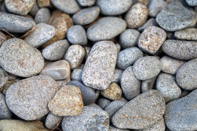 Round Rocks and Pebbles on the Beach in Australia Stock Photo - Image ...