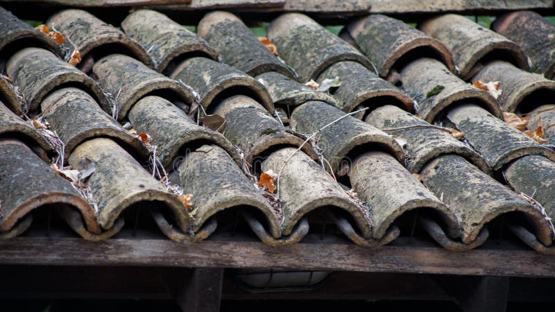 Round roof in the fall stock image. Image of house, gray - 157277493