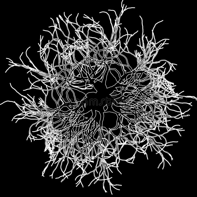 Root Clot Stock Illustrations – 29 Root Clot Stock Illustrations ...