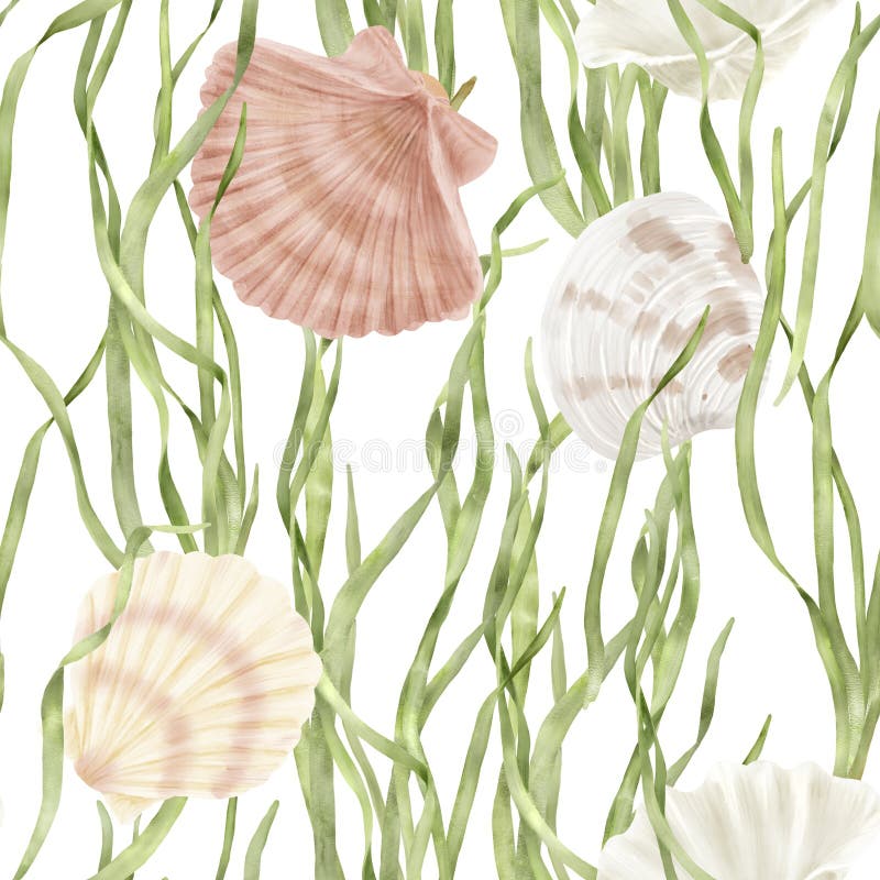 A Round Scallop Shell in the Water Column among Green Algae. Watercolor ...