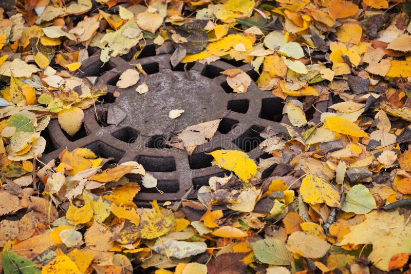 Round Sewer Manhole with Leaves Stock Image - Image of drain, grate ...