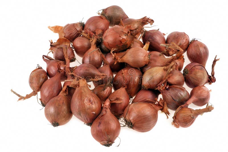 Round Shallots on a White Background Stock Image - Image of condiment ...
