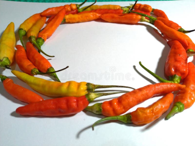 A Round Shape Red Hot Chilli Stock Image - Image of dish, shape: 228506349