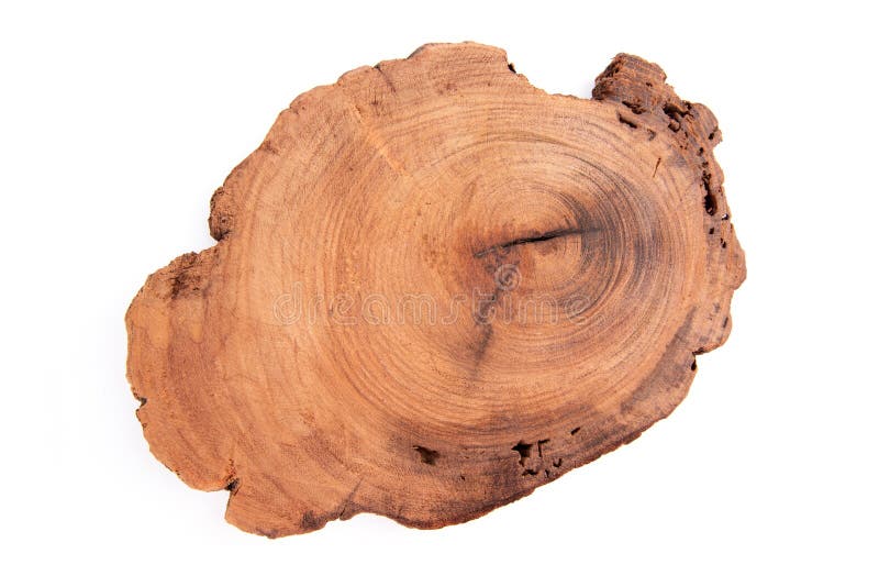 Round Shape Wood Placed Isolated on White Background. ,top View,flat ...