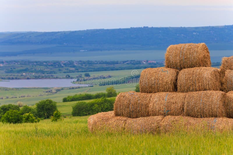Round Sheaves of Hay in Rolls. Background with Copy Space Stock Photo ...