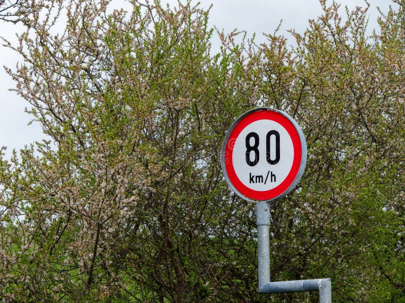 Round Sign Warning about Speed Limits, Trees. the Speed Limit is 80 Km ...