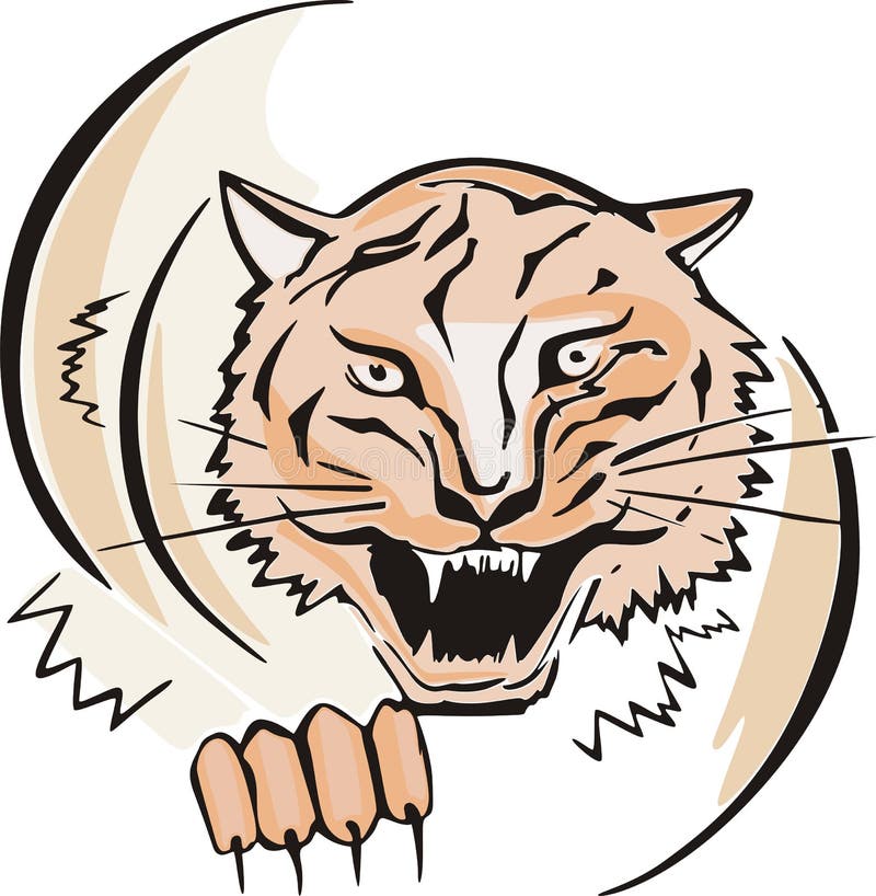 Round sketch of tiger head stock vector. Illustration of round - 33769513