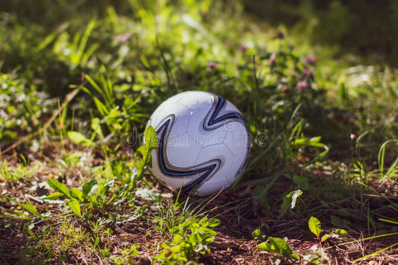 Round Soccer Ball in the Forest, in the Grass Stock Image - Image of ...