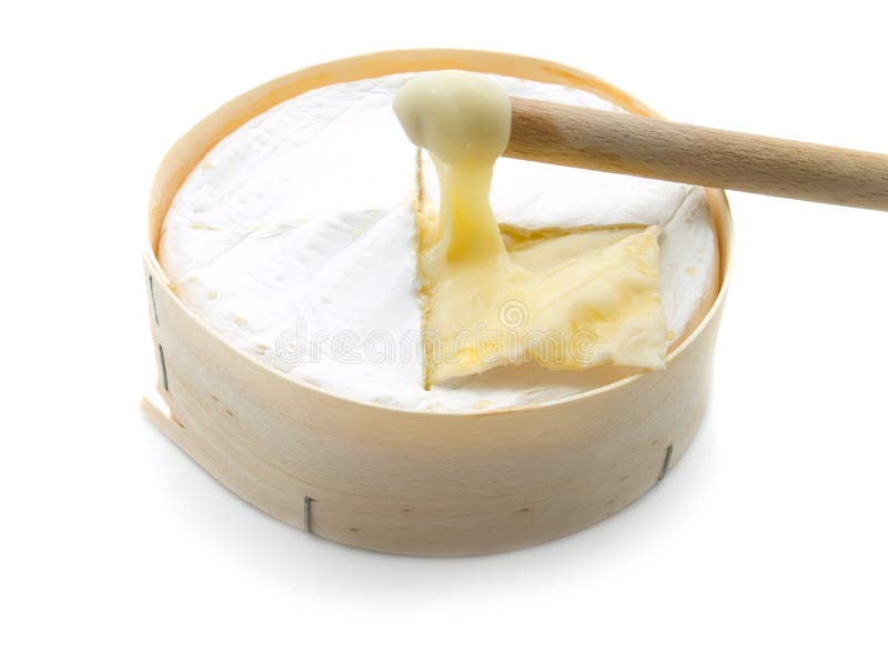 Round white soft cheese stock photo. Image of appetizer - 14351562