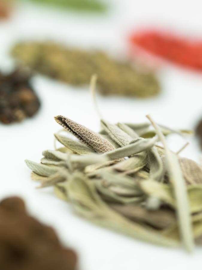 Round spices stock image. Image of medicine, chili, herbal - 28006105