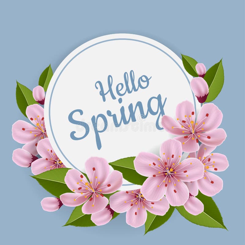 Round Spring Frame with Cherry Flower and Leaf Stock Vector ...