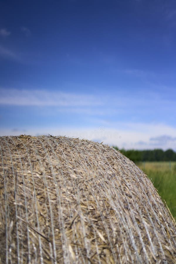 A Round Stack of Hay in Front of a Clear Blue Sky in a Field Stock ...