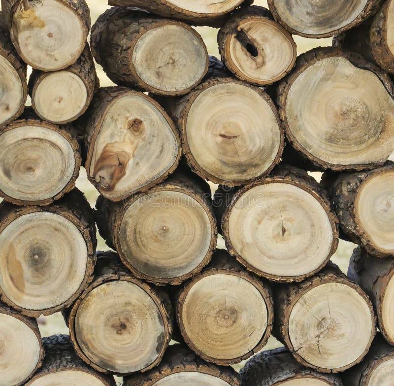 Big round stack of wood stock image. Image of rough, fuel - 30007005