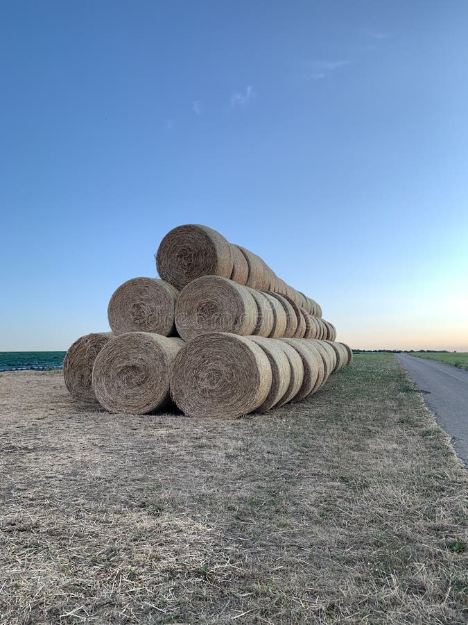 Round Stacks of Hay Stacked Imperfectly in an Open Field in a Pyramid ...