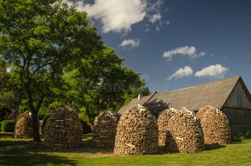 Round Stacks of Split Firewood in Sunny Summer Day Stock Image - Image ...