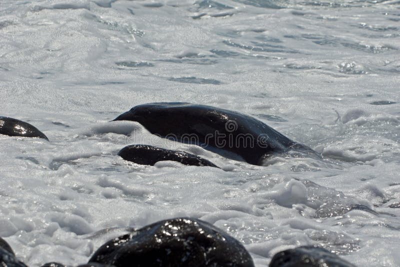 Round stone on coast stock image. Image of holiday, scene - 81314421