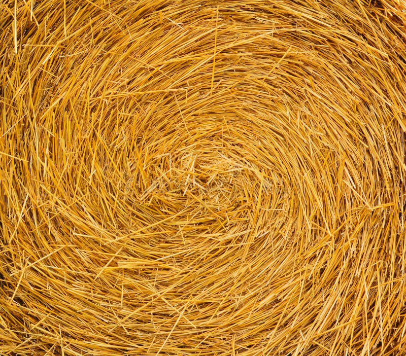 Round Straw Bale stock image. Image of nature, countryside - 46341063