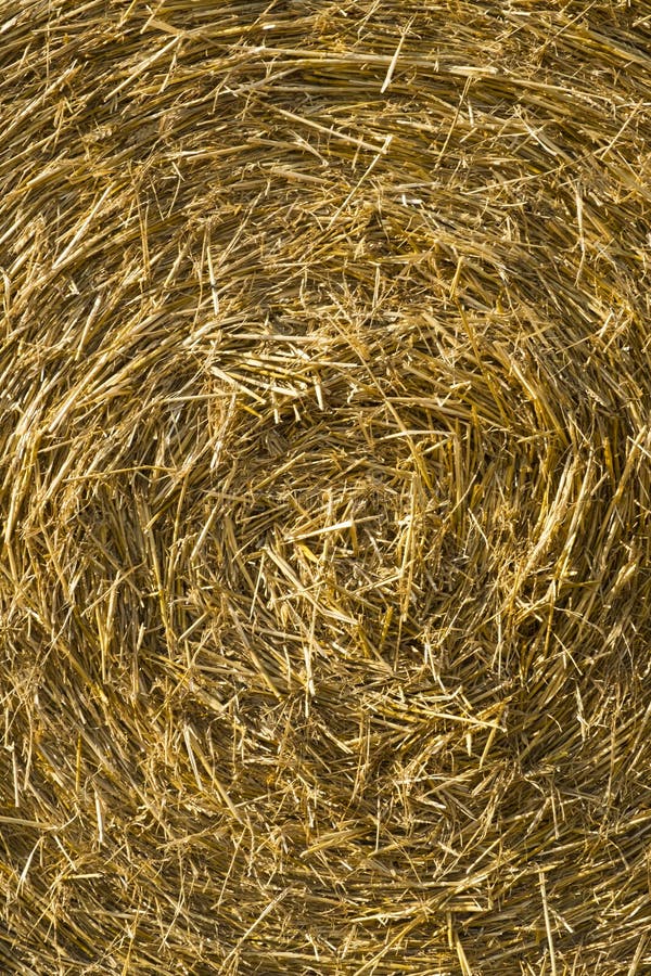 273 Bale Textures Stock Photos - Free & Royalty-Free Stock Photos from ...