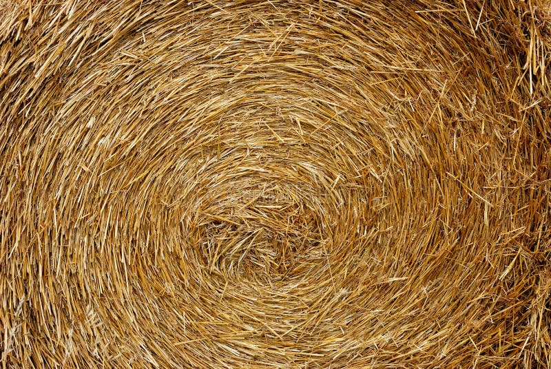 Round straw bales stock image. Image of background, agriculture - 18599305