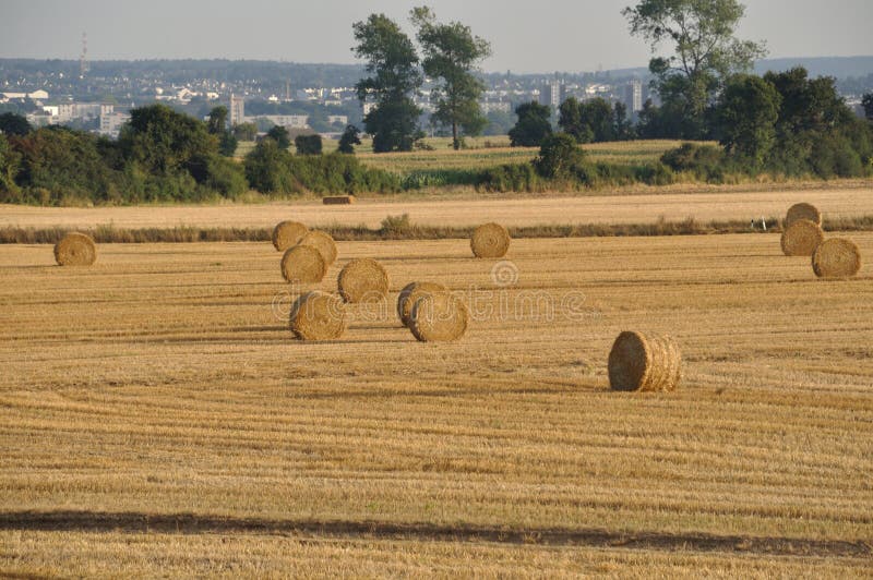 Straw Bales in Harvested Fields Stock Image - Image of farmland, yield ...