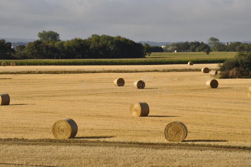 Round Straw Bales in Harvested Fields Stock Photo - Image of france ...