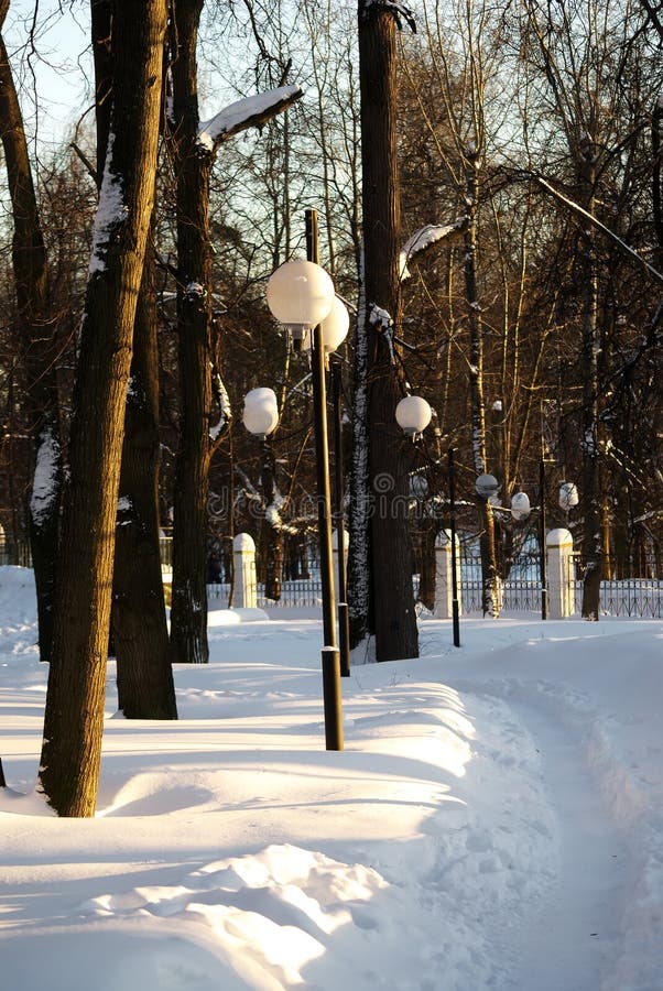 Round Street Lamp in the Park during the Day Stock Image - Image of ...