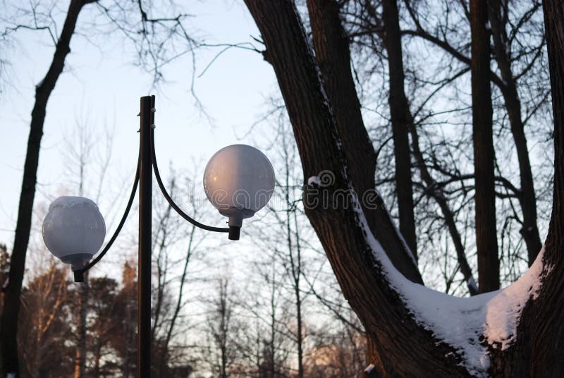 Round Street Lamp in the Park during the Day Stock Image - Image of ...
