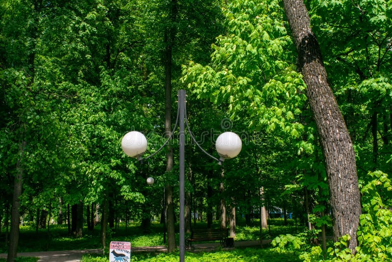 Round Street Lights in the Park Stock Image - Image of light, pattern ...
