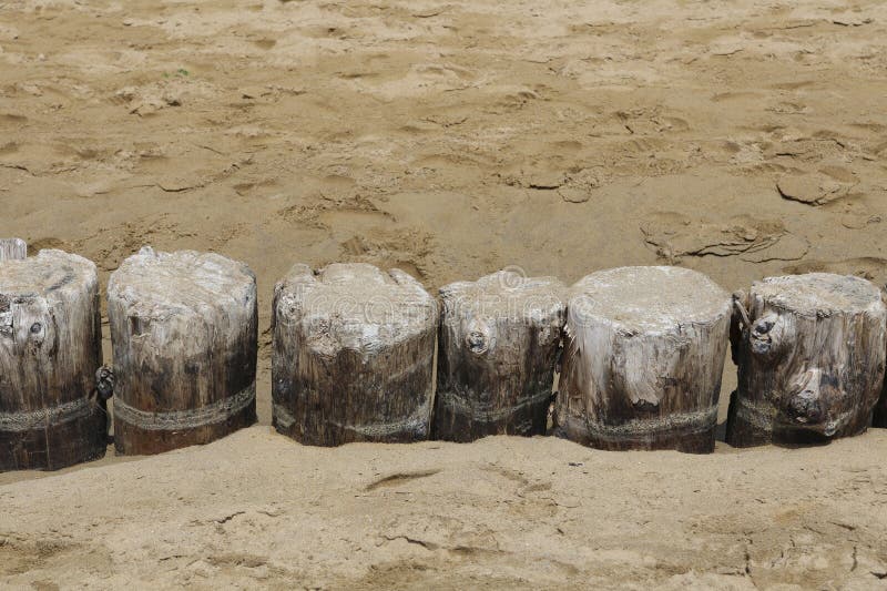 Round stump stock photo. Image of pillar, wood, travel - 280970794