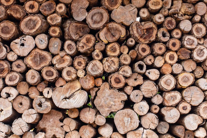 Round Teak Wood Stump Background Stock Photo - Image of abstract, panel ...