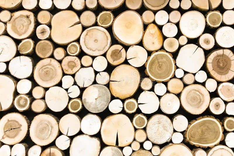 Round Teak Wood Stump Background. Trees Cut Section for Background ...