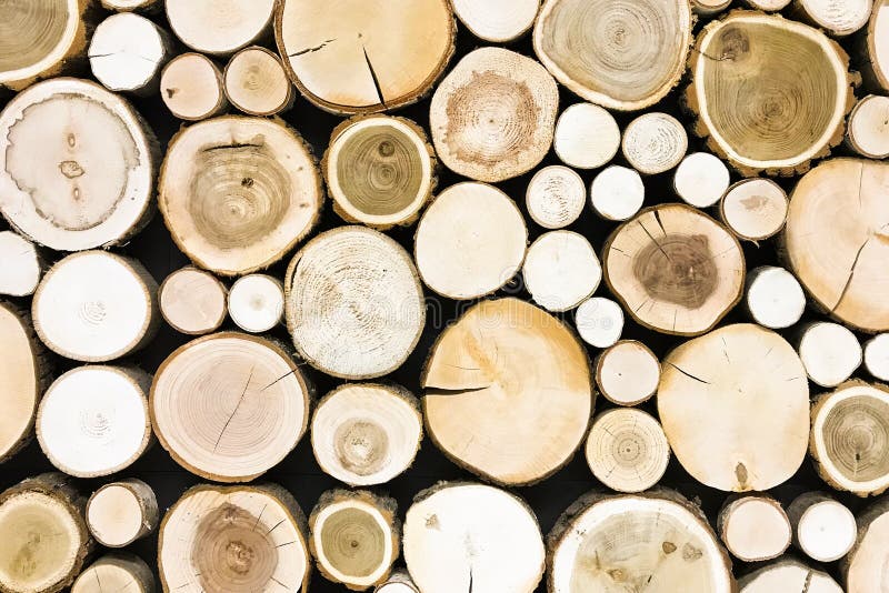 Round Teak Wood Stump Background. Trees Cut Section for Background ...