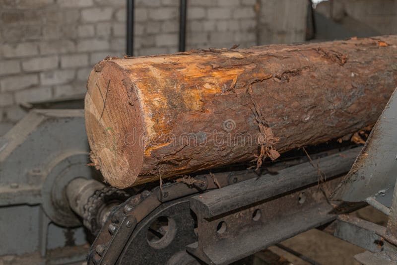 Processing of Round Timber Logs for Building Wooden House. Removing ...
