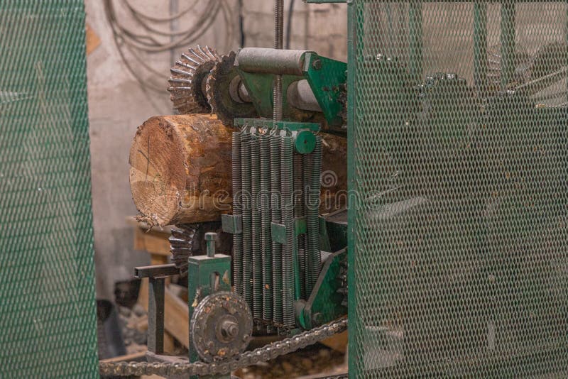 Round Timber Logs Preparation Sorting Processing at Sawmill. Wheel ...