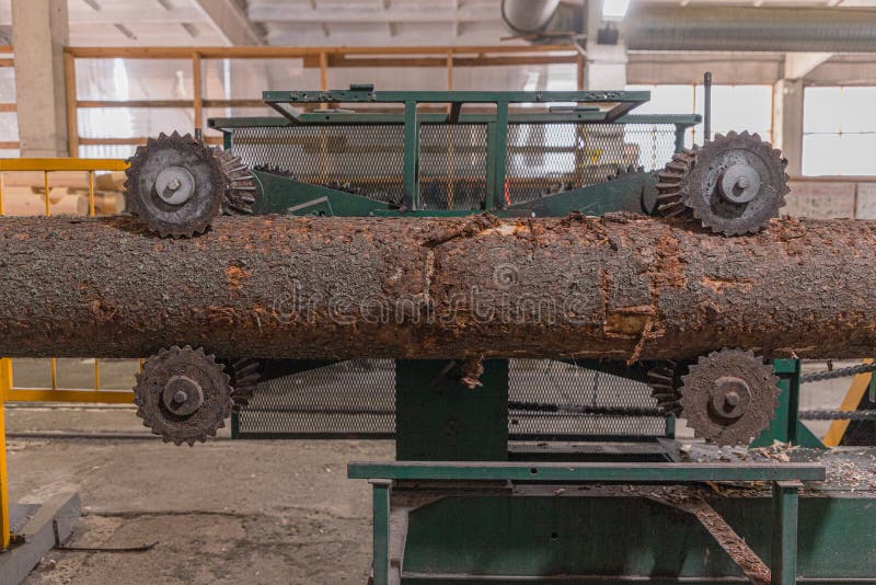 Processing of Round Timber Logs for Building Wooden House. Removing ...