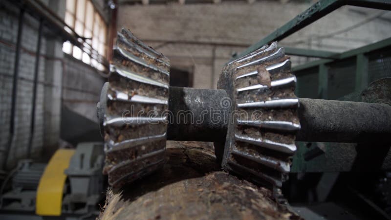 Processing of Round Timber Logs for Building Wooden House. Removing ...