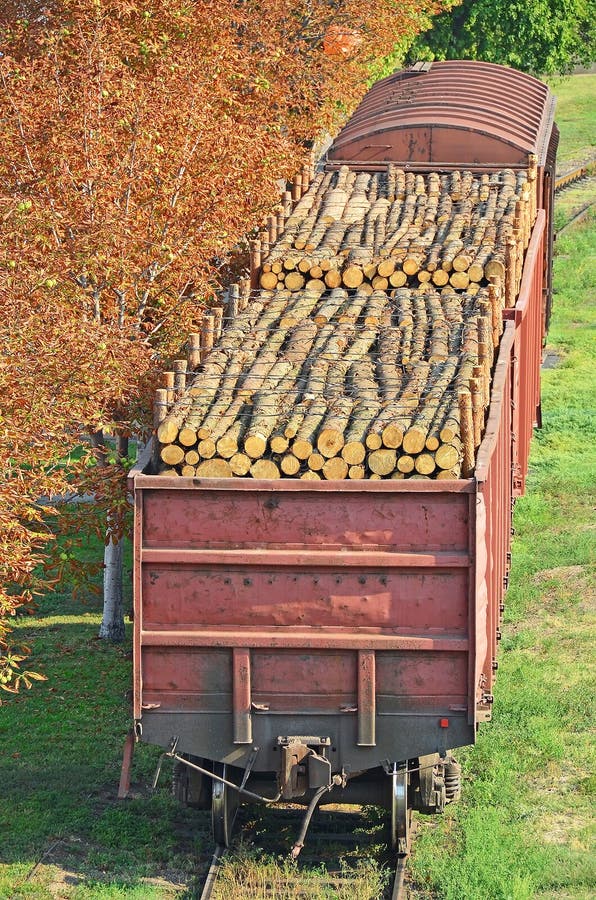 Round timber on railroad stock image. Image of railcar - 86422167