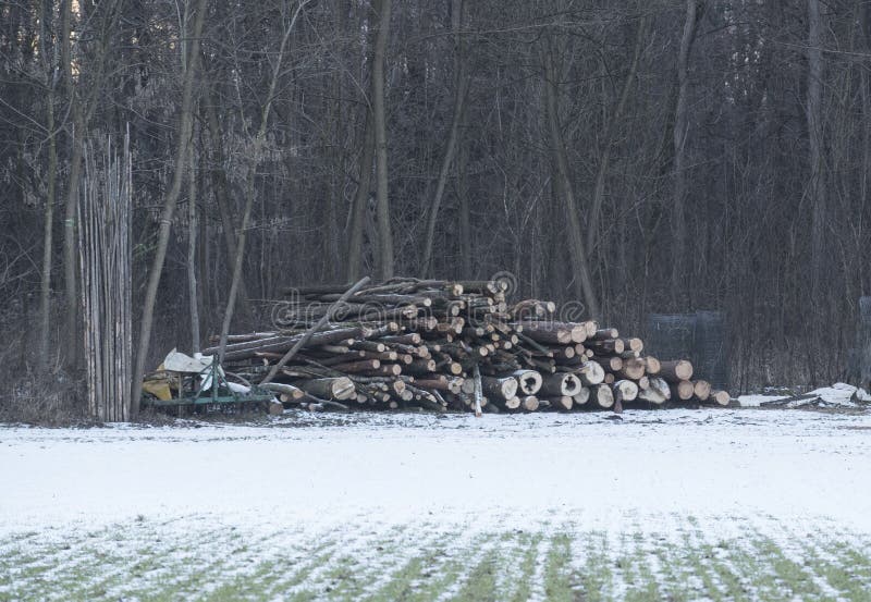 Wood storage in winter stock photo. Image of landscape - 210858874