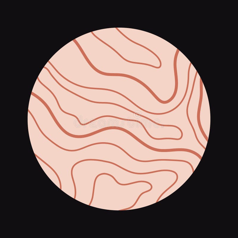 Round Topography Shapes Abstract Circle Wavy Lines Stock Vector ...