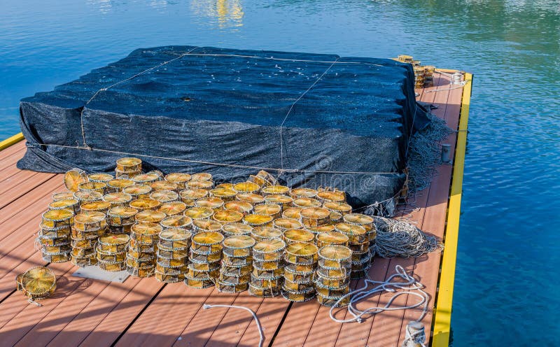 Round Traps Stacked on Floating Dock Stock Photo - Image of harvest ...