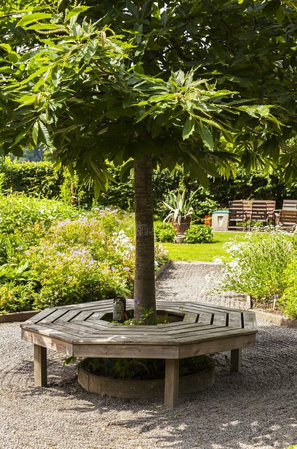 Tree Log Bench at Cherney Maribel Caves County Park Stock Image - Image ...