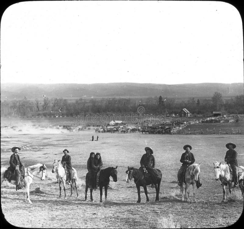 Round-up On Cattle Ranch Picture. Image: 222322599