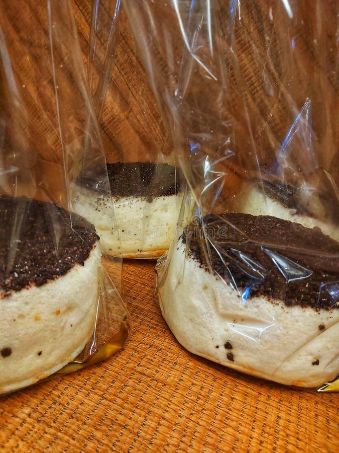 Round Vanilla Cake Topped with Cocoa Powder in Plastic Packaging Stock ...