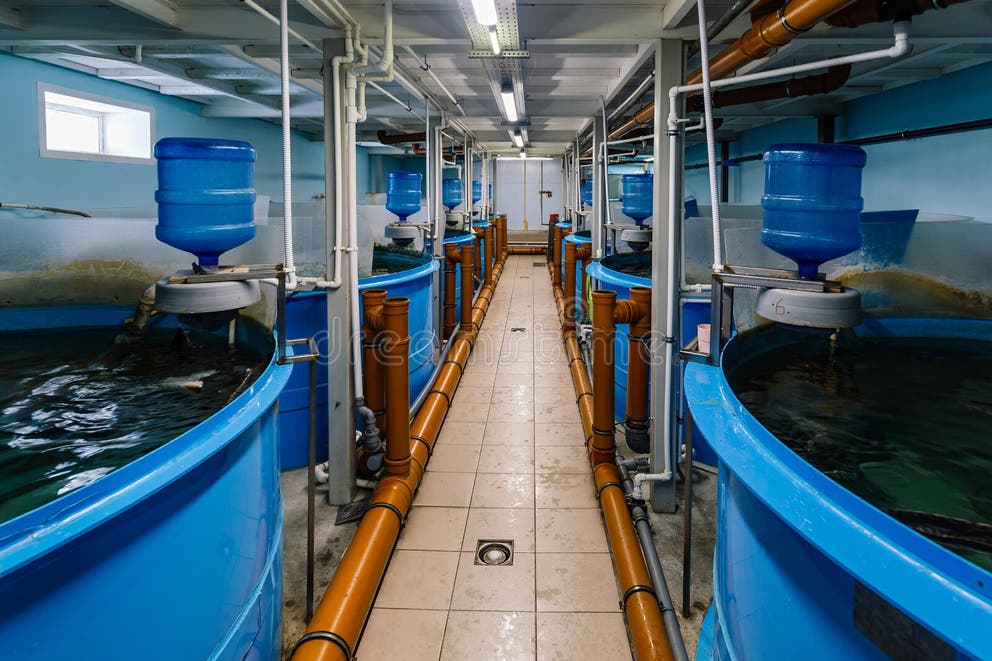 Round Water Basins with Automatic Feeding and Water Recirculation for ...