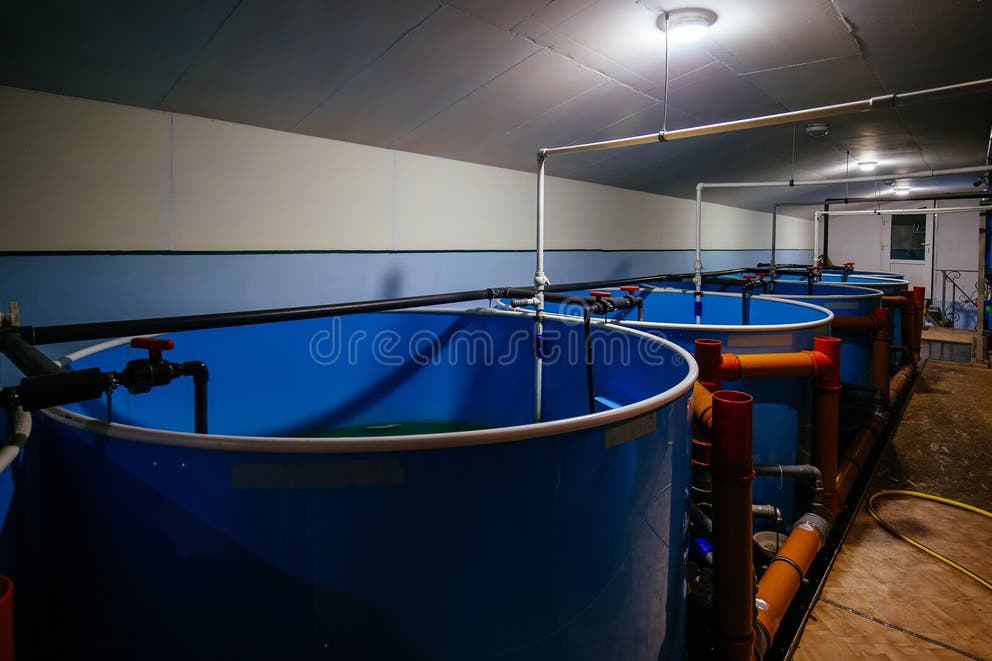 Round Water Basins with Automatic Feeding and Water Recirculation for ...